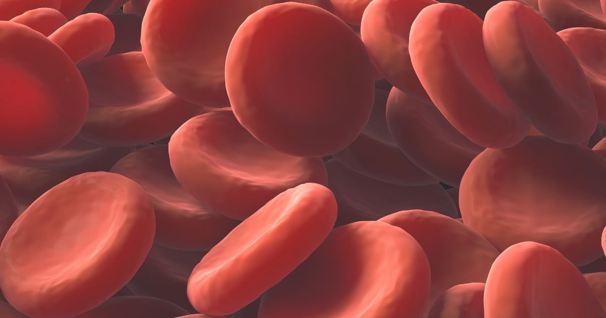 Hematological Disorders: Unlocking The Mysteries Of Blood | Sean Schepers