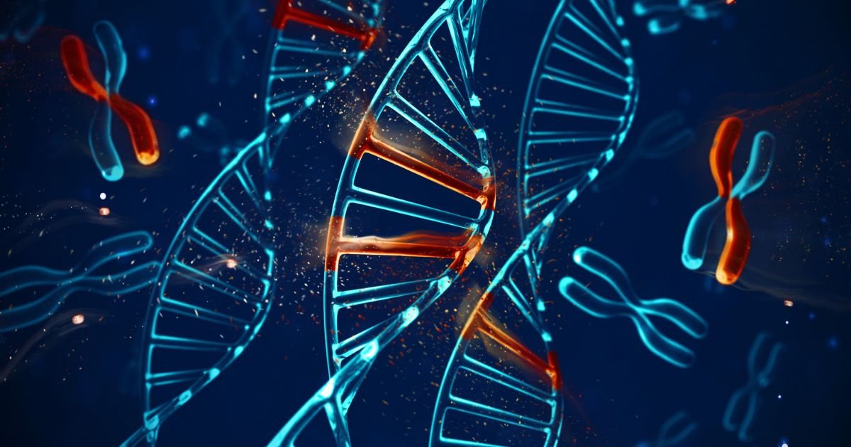 Fundamentals Of Molecular Biology: Decoding Life | Sean Schepers