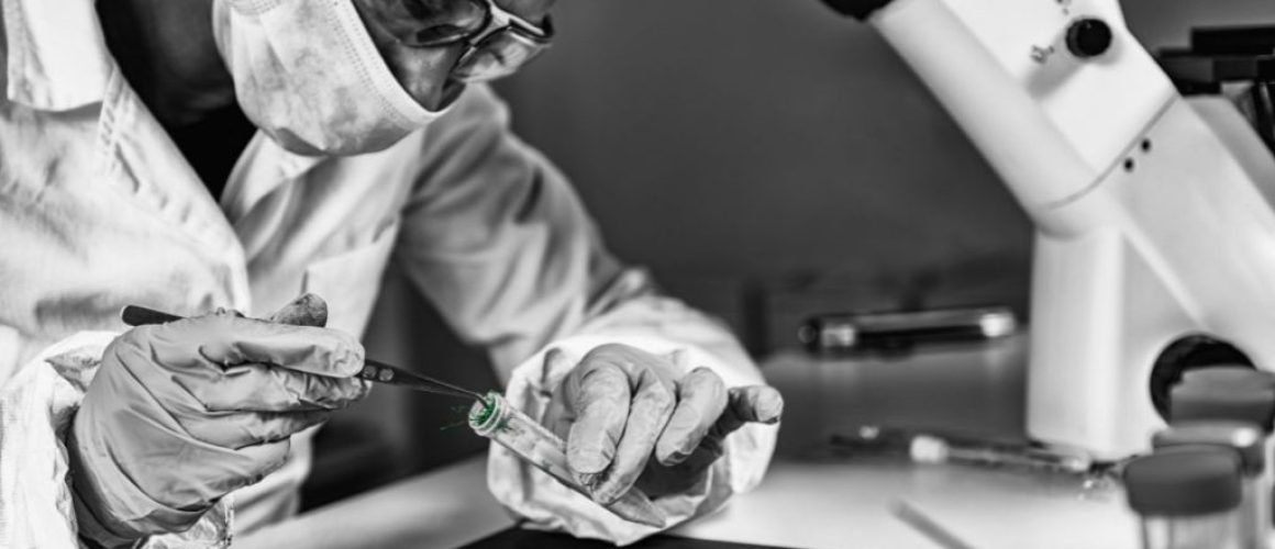 The Role Of DNA Analysis In Forensic Medicine | Sean Schepers