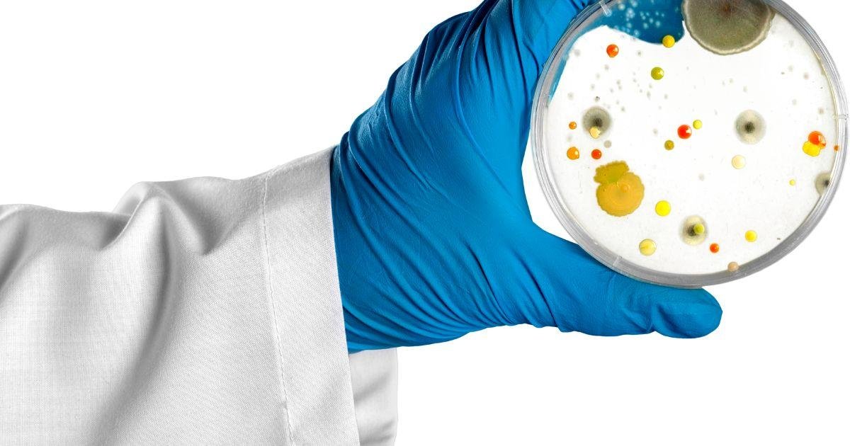 Bacterial Metabolism And Energy Production | Sean Schepers