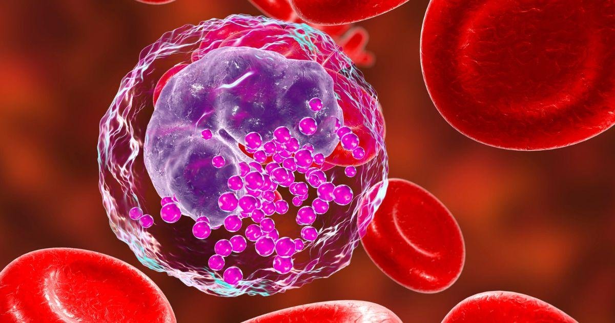 Basophils And Mast Cells | Sean Schepers