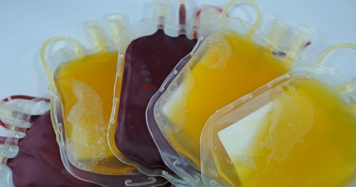 Blood Components And Their Functions | Sean Schepers