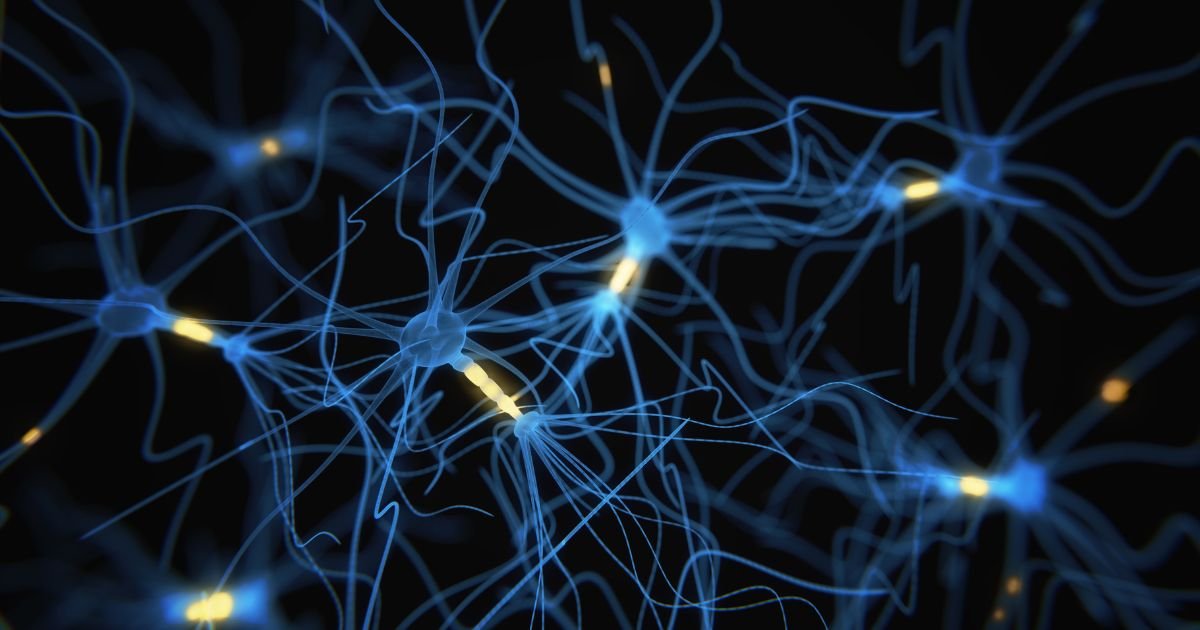 The Symphony Of The Cell: Cell Signaling In Molecular Biology | Sean ...