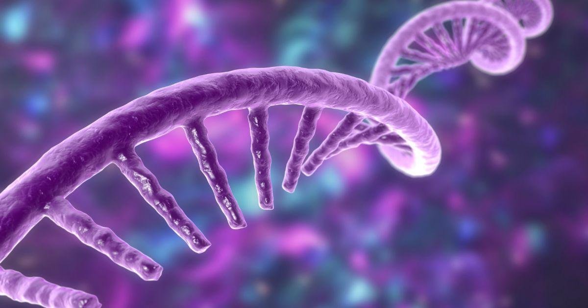 The Blueprint Of Life: Exploring DNA And RNA In Molecular Biology ...
